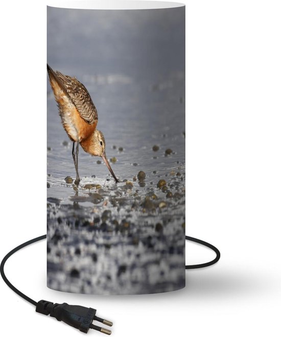 Lamp - Nachtlampje - Tafellamp slaapkamer - Rosse grutto zoekt eten op ...