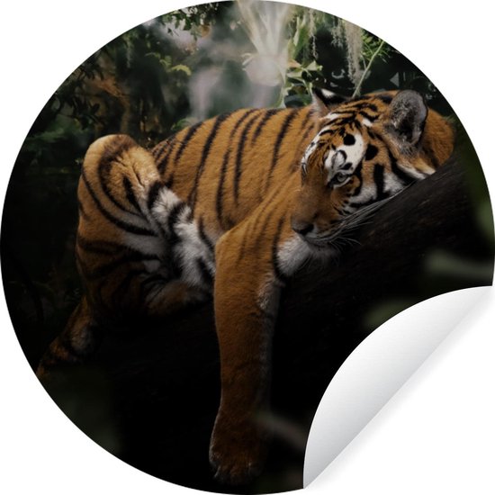 WallCircle - Muurstickers - Behangcirkel - Dieren - Tijger - Jungle - ⌀ 140 cm -... | bol