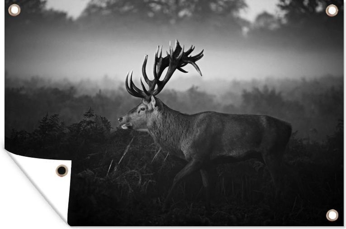 Tuinposter Hert loopt door de struiken - zwart wit - 130x80 cm ...
