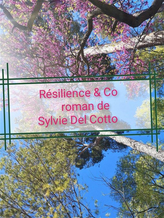 Roman Maddy Family - Résilience & Co (ebook), Sylvie Del Cotto ...