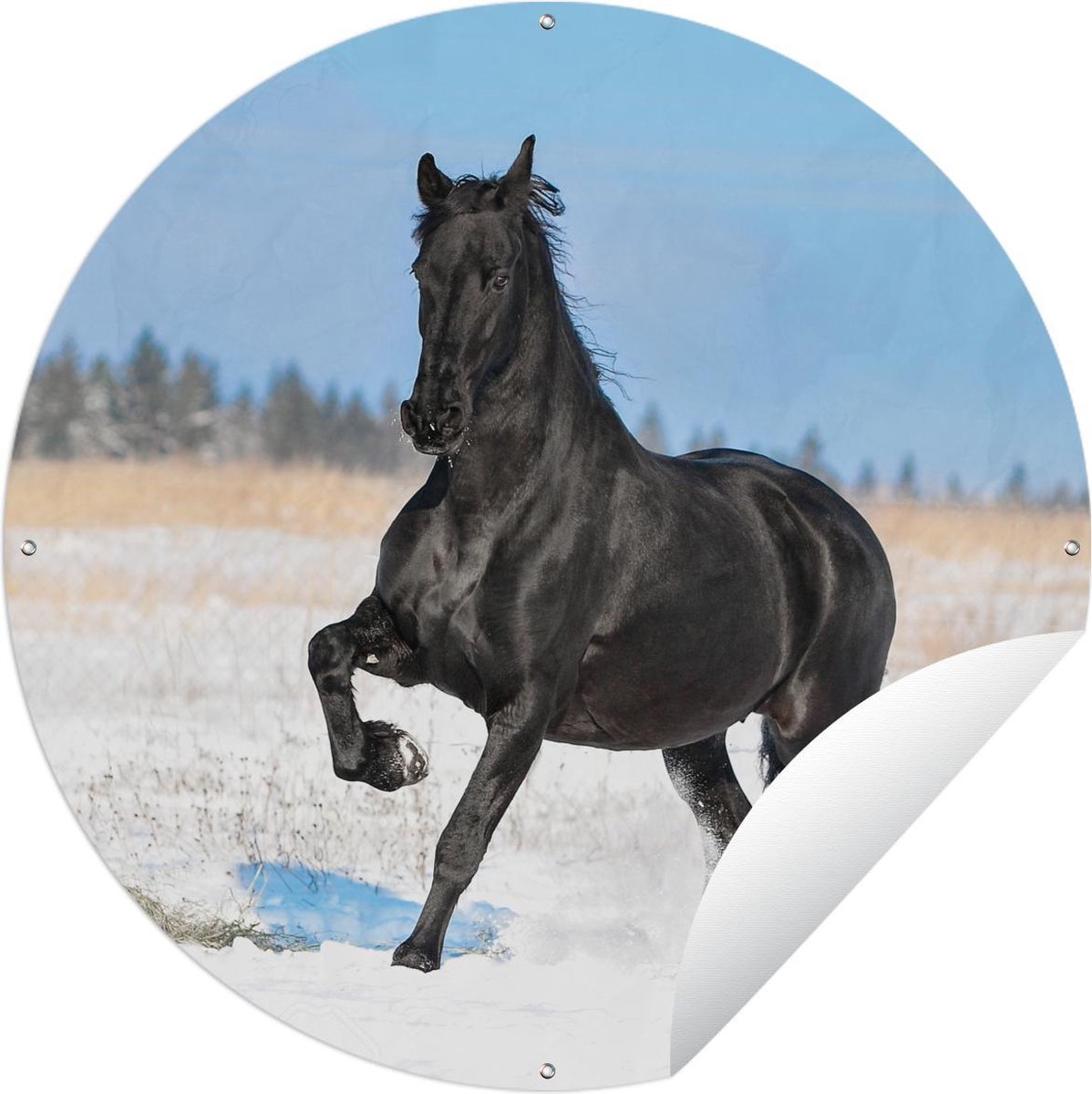 Tuincirkel Friesland - Sneeuw - Fries paard - 60x60 cm - Ronde ...