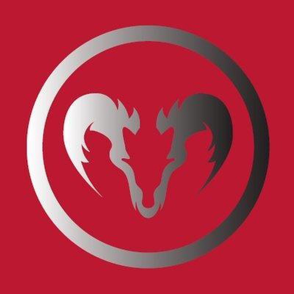 Tag rugby bundel - Complete set - Inclusief tas - Maat 4 | bol.com