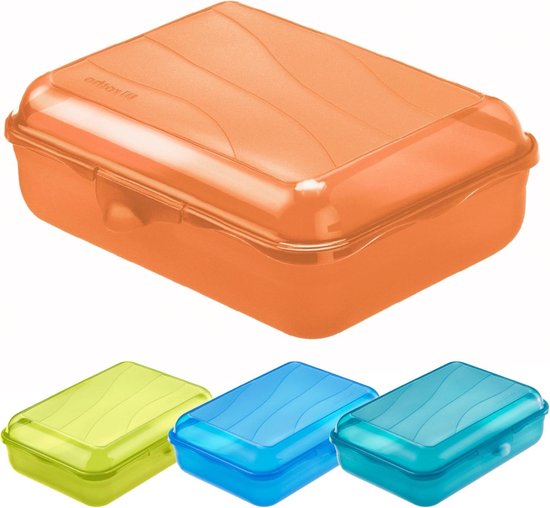Rotho lunchbox FUN 1,25 l (20 x 14 x 6 cm) aquablauw 1250 ml | bol.com