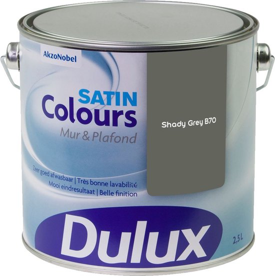 Dulux Colours Mur & Plafond Satin Mix - Shady Grey B70 - 2,5 L | bol