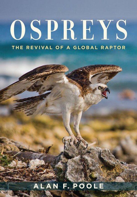 Ospreys (ebook), Alan F. Poole | 9781421427164 | Boeken | bol.com