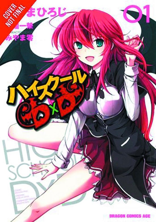 High School DXD Vol. 1, Ichiei Ishibumi | 9780316407366 | Boeken | bol
