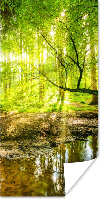 Poster Bos - Landschap - Water - Bomen - Zon - Groen - Natuur - 80x160 ...