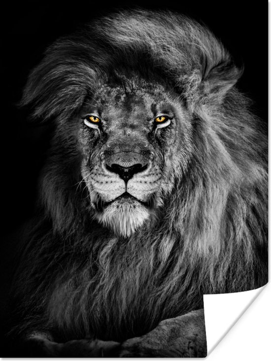 Poster Leeuw - Ogen - Oranje - Zwart wit - Dieren - Portret - 30x40 cm ...