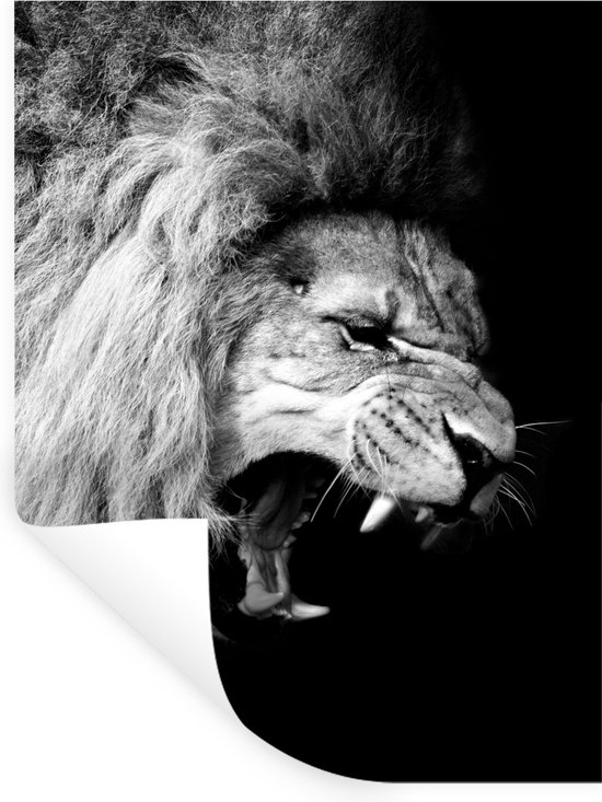 Muurstickers - Sticker Folie - Leeuw - Portret - zwart - Wit - Dieren - 60x80 cm -... | bol