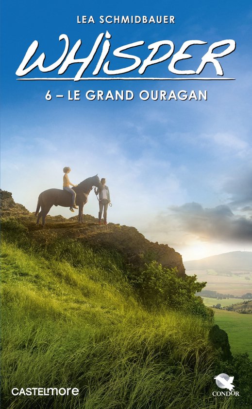 Whisper 6 - Whisper, T6 : Le Grand Ouragan (ebook), Lea Schmidbauer | 9782362317514 |... | bol