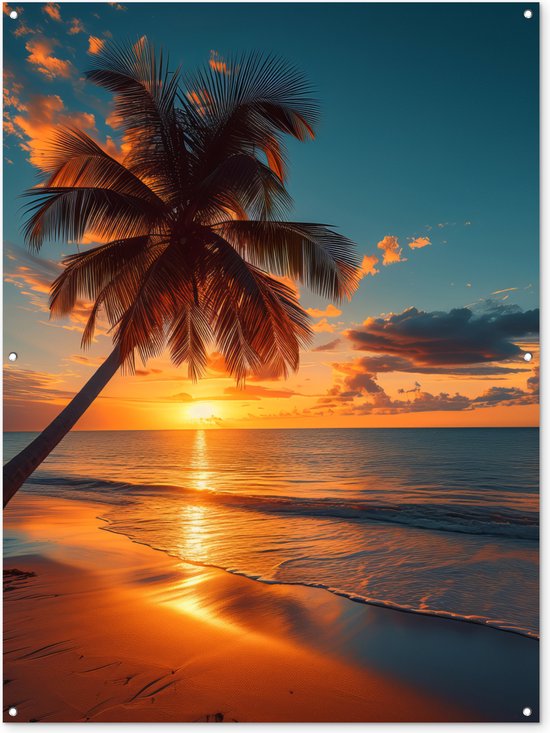 Tuinposter zonsondergang - Tuindecoratie palmboom - 120x160 cm - Poster voor in de... | bol