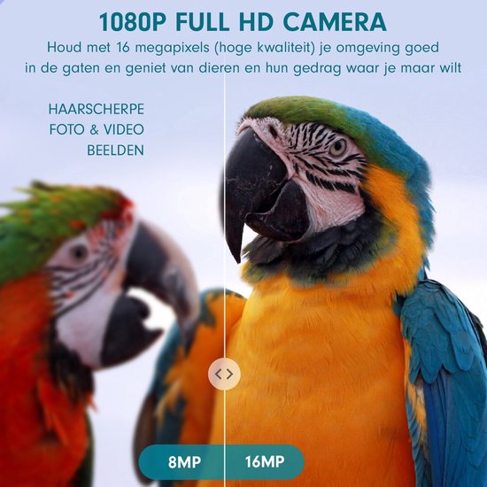 Wildcamera - Wildcamera Met Nachtzicht - Bewakingscamera - Wildlife ...