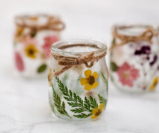 Geperste droogbloemen - 10 stuks Bladgroen Varen | bol