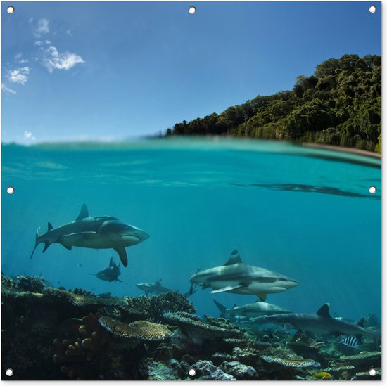 Tuindoek Koraal - Haaien - Zee - 100x100 cm | bol