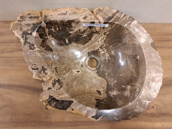 Waskom van versteend hout - 50x36x15cm - FL22349 | bol