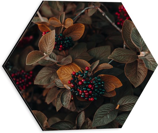 Dibond Hexagon - Kleine Rode en Paarse Besjes in Struik - 30x26.1 cm ...