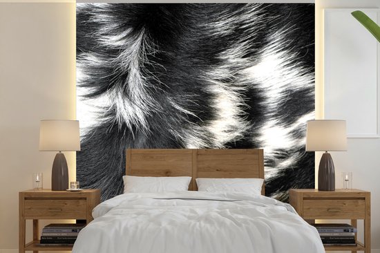 Behang - Fotobehang De koeienhuid van een longhorn koe - Breedte 220 cm ...