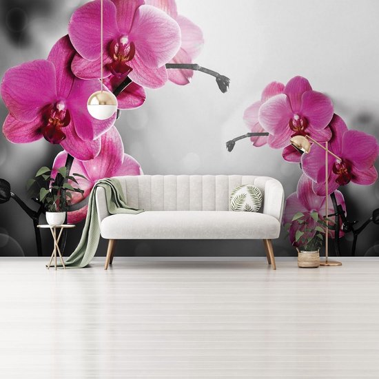 Fotobehang - Vlies Behang - Roze Orchideeën op een Zilveren Achtergrond ...