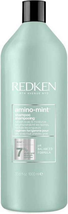 Shampoo Redken Amino Mint (1000 ml) | bol.com