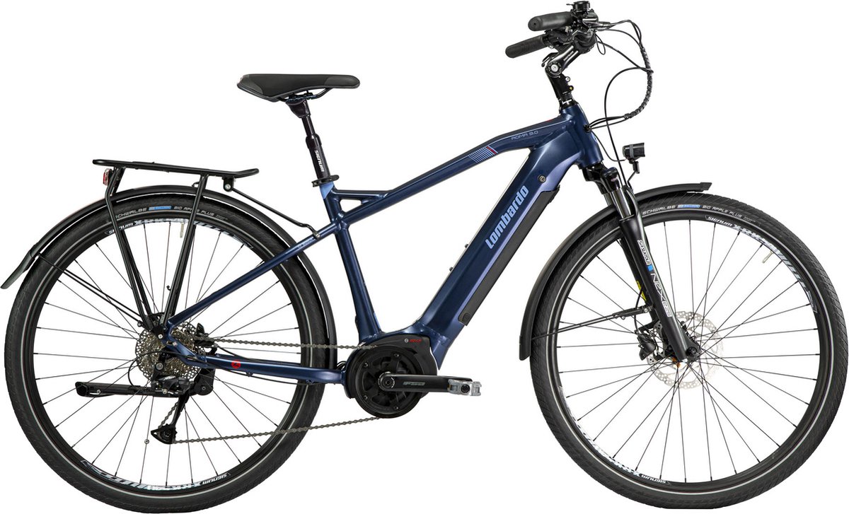 Elektrische Stadsfiets 28 inch - Met display - E-bike met 9 ...