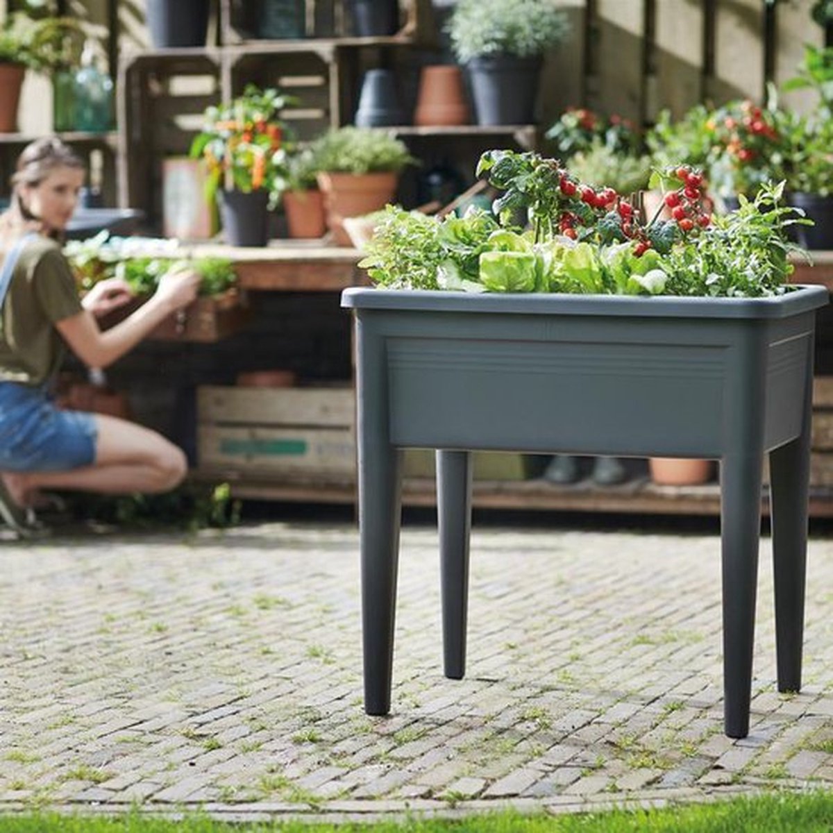 Elho green basics kweektafel super xxl - Zwart/Living Black | bol.com