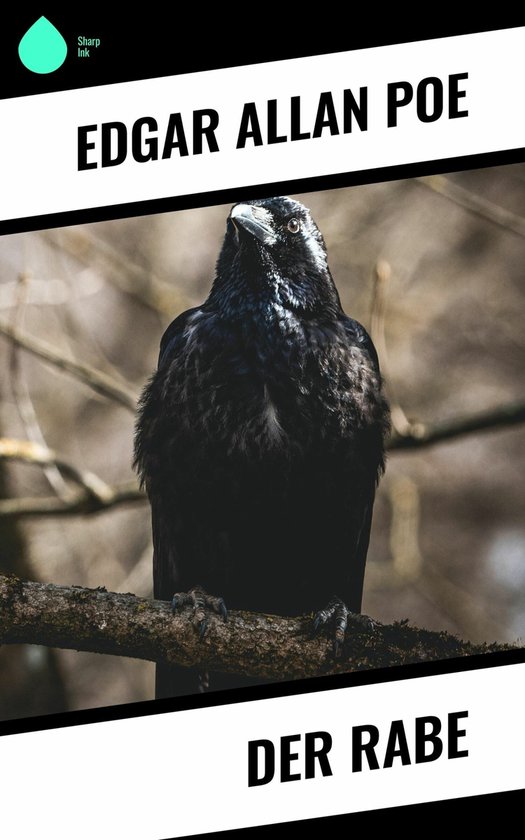 Der Rabe (ebook), Edgar Allan Poe | 9788028264437 | Boeken | bol.com