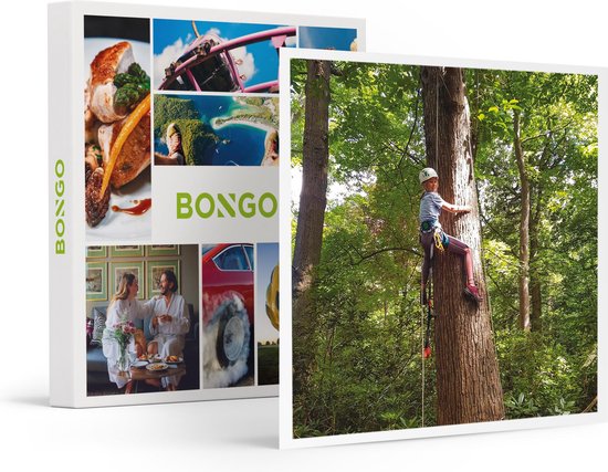 Bongo Bon - WORKSHOP BOOMKLIMMEN VOOR 2 MET VERSNAPERINGSMAND - Cadeaukaart cadeau... | bol