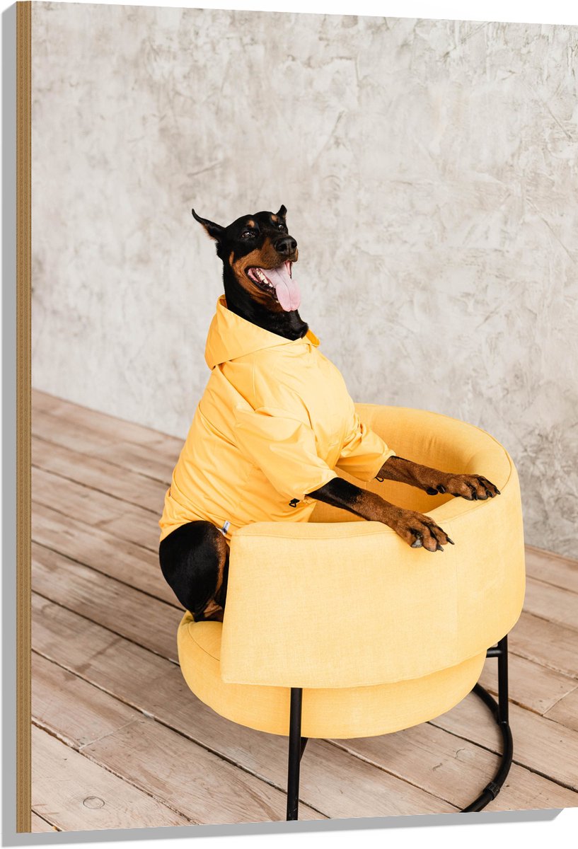 WallClassics - Hout - Blije Hond met Gele Jas - 70x105 cm - 9 mm dik ...