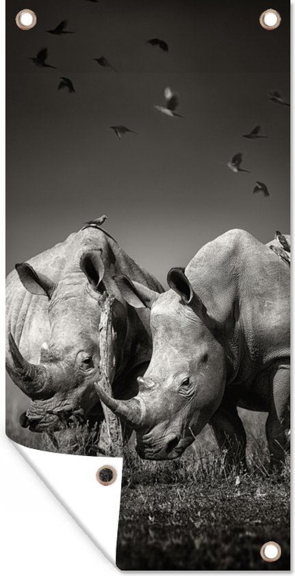 Schuttingposter Neushoorn - Vogel - Dieren - Landschap - Zwart wit ...