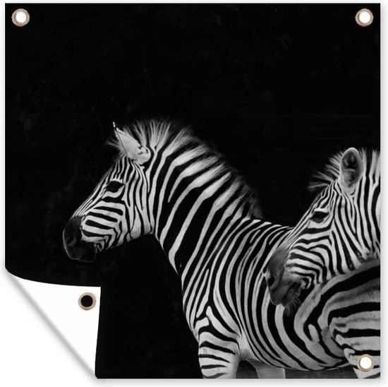 Tuin poster Zebra - Wit - Wild - Dieren - Zwart - 200x200 cm - Tuindoek ...