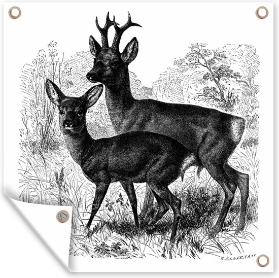 Tuin poster Een zwart witte tekening van reeën in de natuur - 200x200 ...