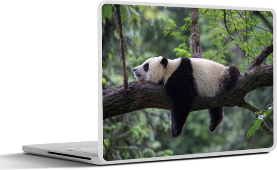 Laptop sticker - 14 inch - Panda - Boom - Dieren - Natuur - 32x5x23x5cm ...