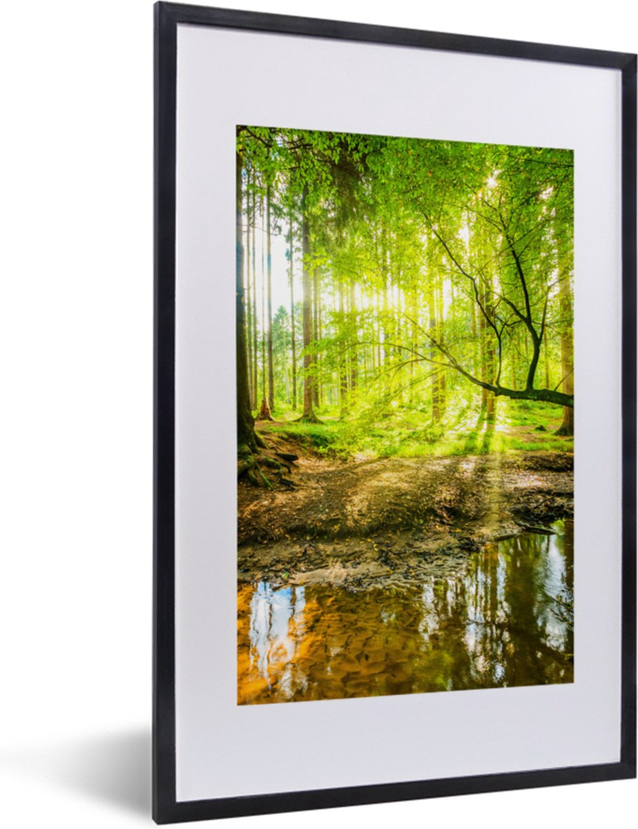 Fotolijst incl. Poster - Bos - Landschap - Water - Bomen - Zon - Groen ...