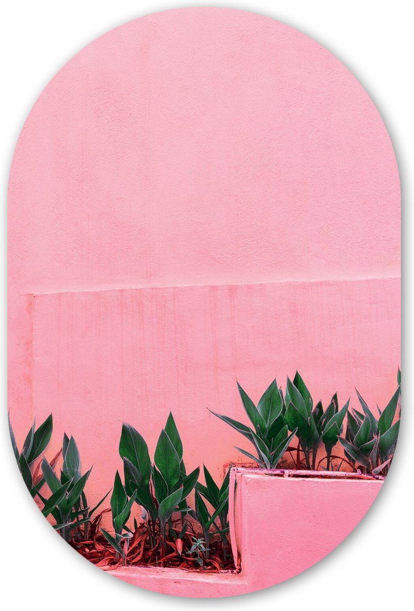 Wall Oval - Décoration murale Plastique - Tableau Ovale - Plantes - Été ...