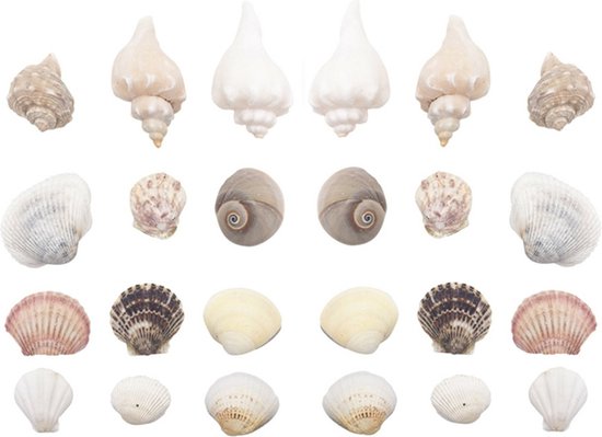 DID Schelpen mix - 3x - decoratie - 450 gram - schelpjes | bol