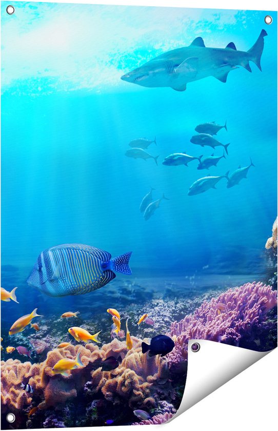 Gards Tuinposter Vissen met Haaien in de Oceaan met Koraalrif - 60x80 ...