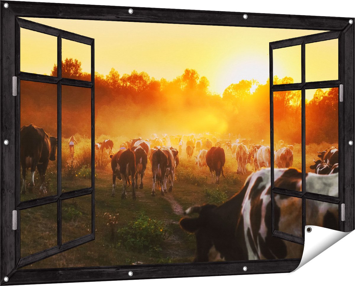 Gards Affiche de jardin Troupeau de vaches en pâturage au coucher du ...