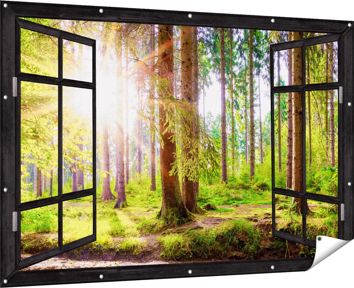 Gards Affiche jardin Forêt transparente avec soleil entre les Arbres ...