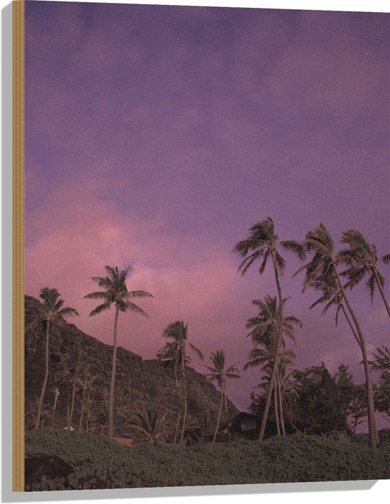Hout - Palmbomen onder de Paarse Lucht - 60x80 cm - 9 mm dik - Foto op ...