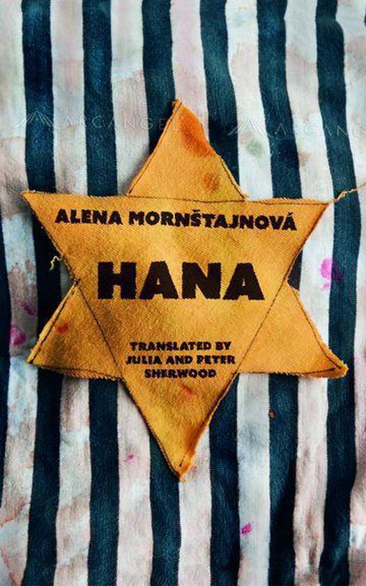 Hana (ebook), Alena Mornstajnová | 9781913640002 | Boeken | bol.com