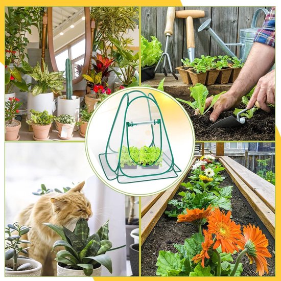 JGS ® Compact en Handige Mini Kweekkas voor Plantenbescherming en Groei ...