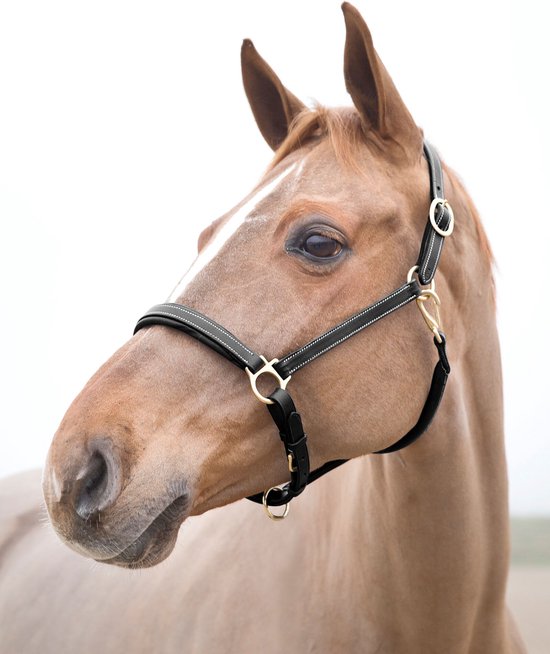 Horze Largo Leren Halster, Black, Pony | bol
