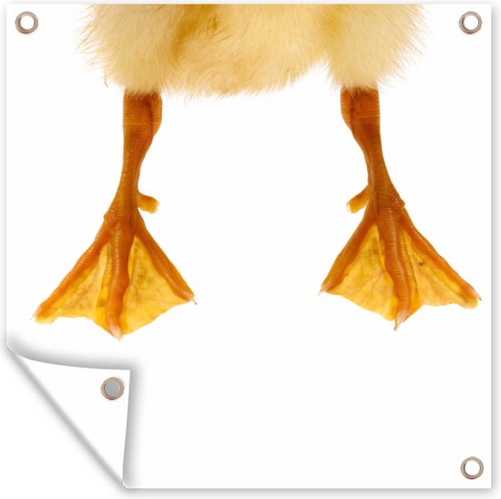 Tuindoek Poten van een baby eend - 100x100 cm | bol