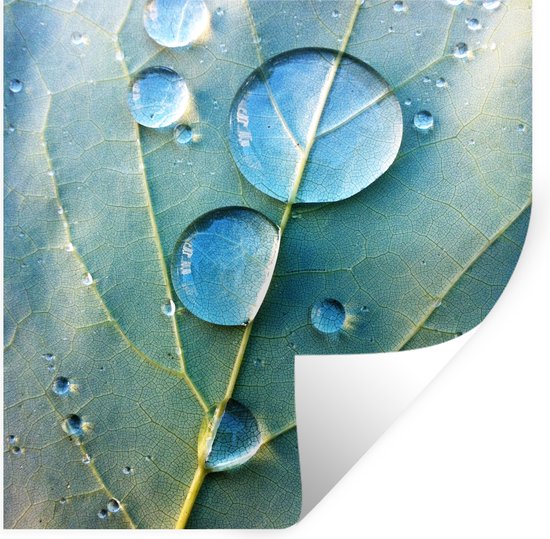 Muurstickers - Sticker Folie - Turquoise waterdruppels - 100x100 cm ...