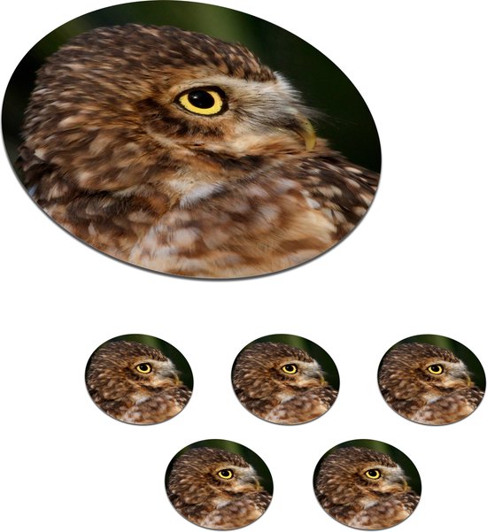 Onderzetters voor glazen - Rond - Een bruine uil kijkt naar de zijkant ...