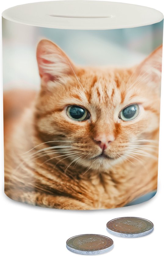 Spaarpot - Spaarblik - Kat - Kleding - Kast - Spaarpotten - Volwassenen ...