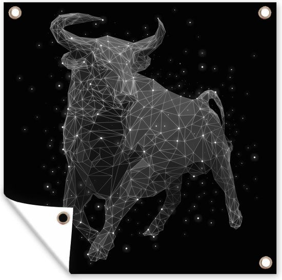 Tuin poster Een illustratie van het sterrenbeeld stier - 200x200 cm ...