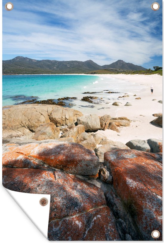 Affiche de jardin Beach in Tasmania toile en vrac 40x60 cm - petit ...