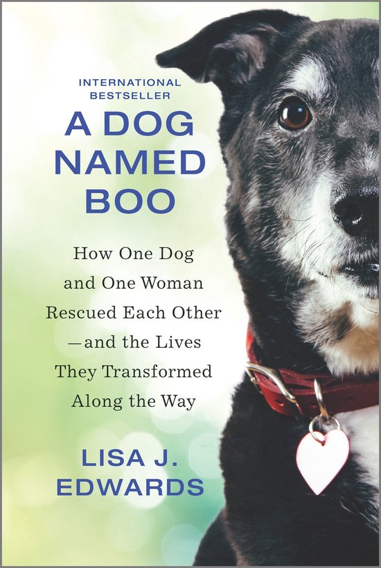 A Dog Named Boo (ebook), Lisa J Edwards | 9780369704597 | Boeken | bol.com