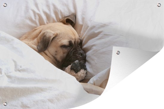 Muurdecoratie Hond slaapt in bed met een knuffel - 180x120 cm ...